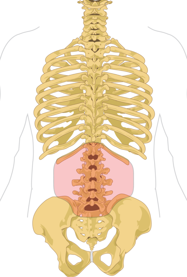 A Guide to Low Back Pain - Causes Prevention and Cures